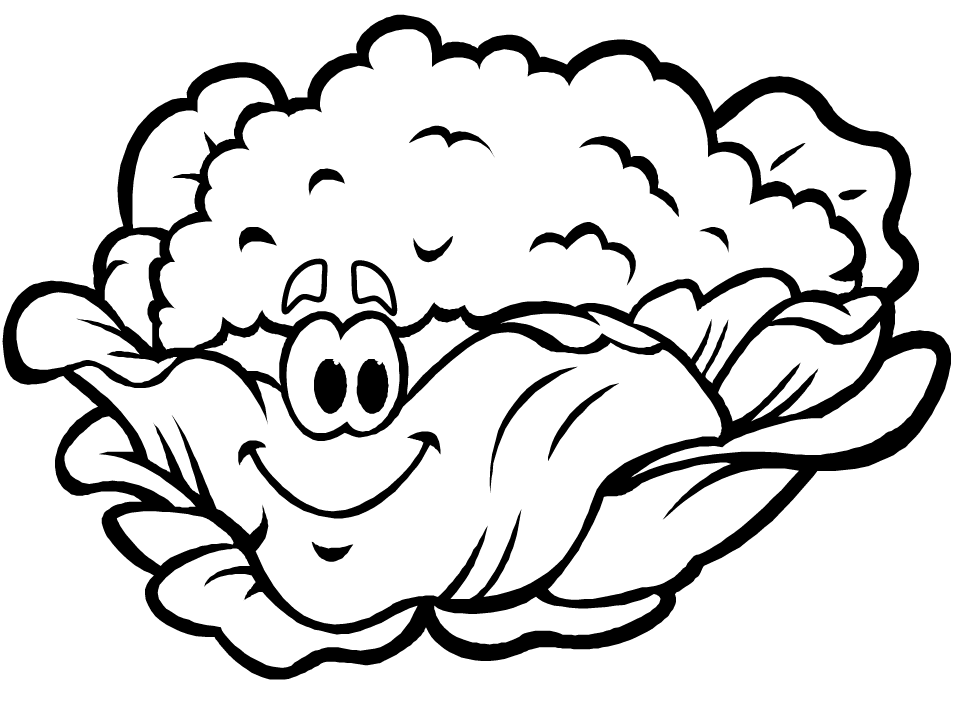 BAUZINHO DA WEB - BAÚ DA WEB : Desenhos e riscos de couve-flor para ...