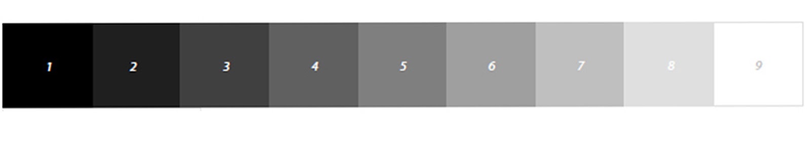 Karen Ilari Painting: Learn about Values! Step by Step! Class #1