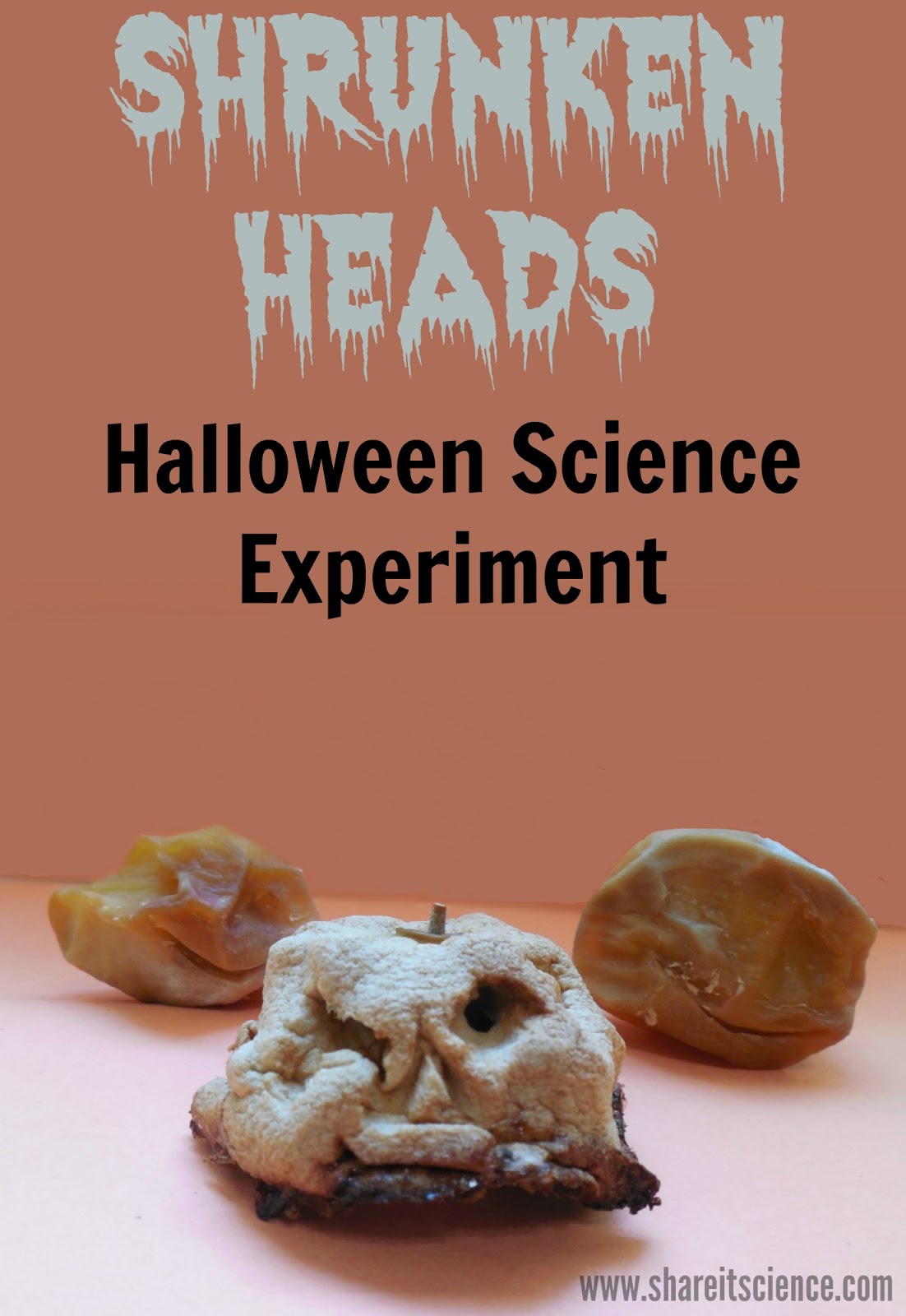 Share it! Science : Shrunken Heads Halloween Science Experiment