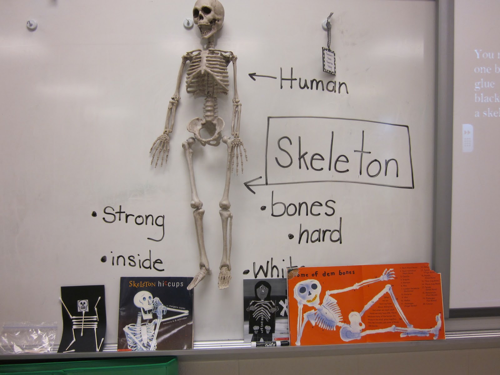 SKELETONS | The Lemonade Stand