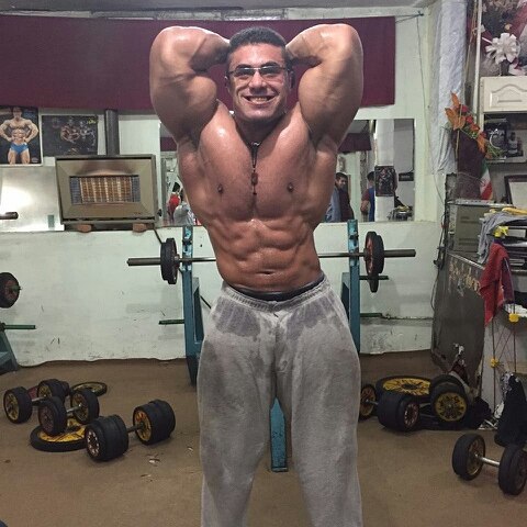 the beauty of male muscle: Behrooz