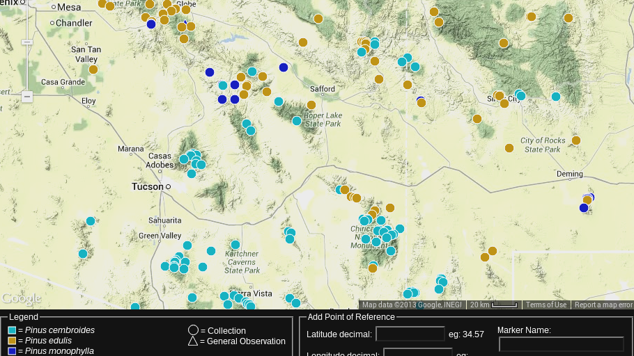 weltanschuuang: A Range Overlap of the Pinyon Pines in central AZ