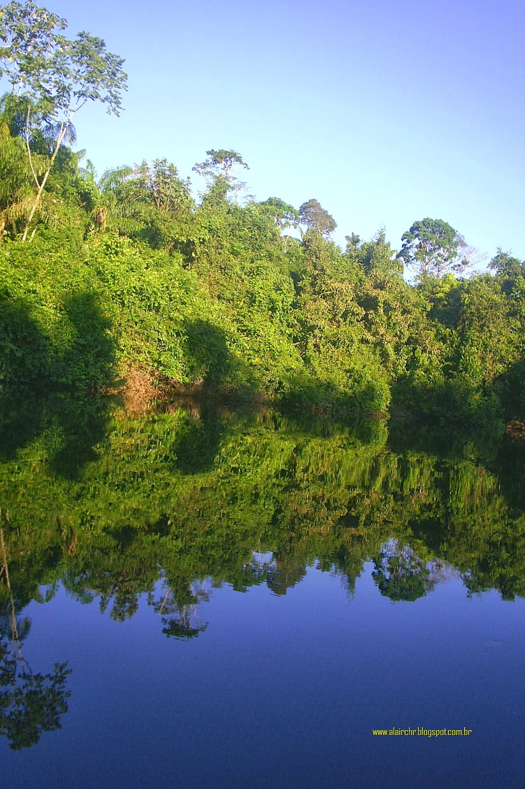 SHOWS E VIAGENS: RIO CURUÁ - Novo Progeresso (Pará)