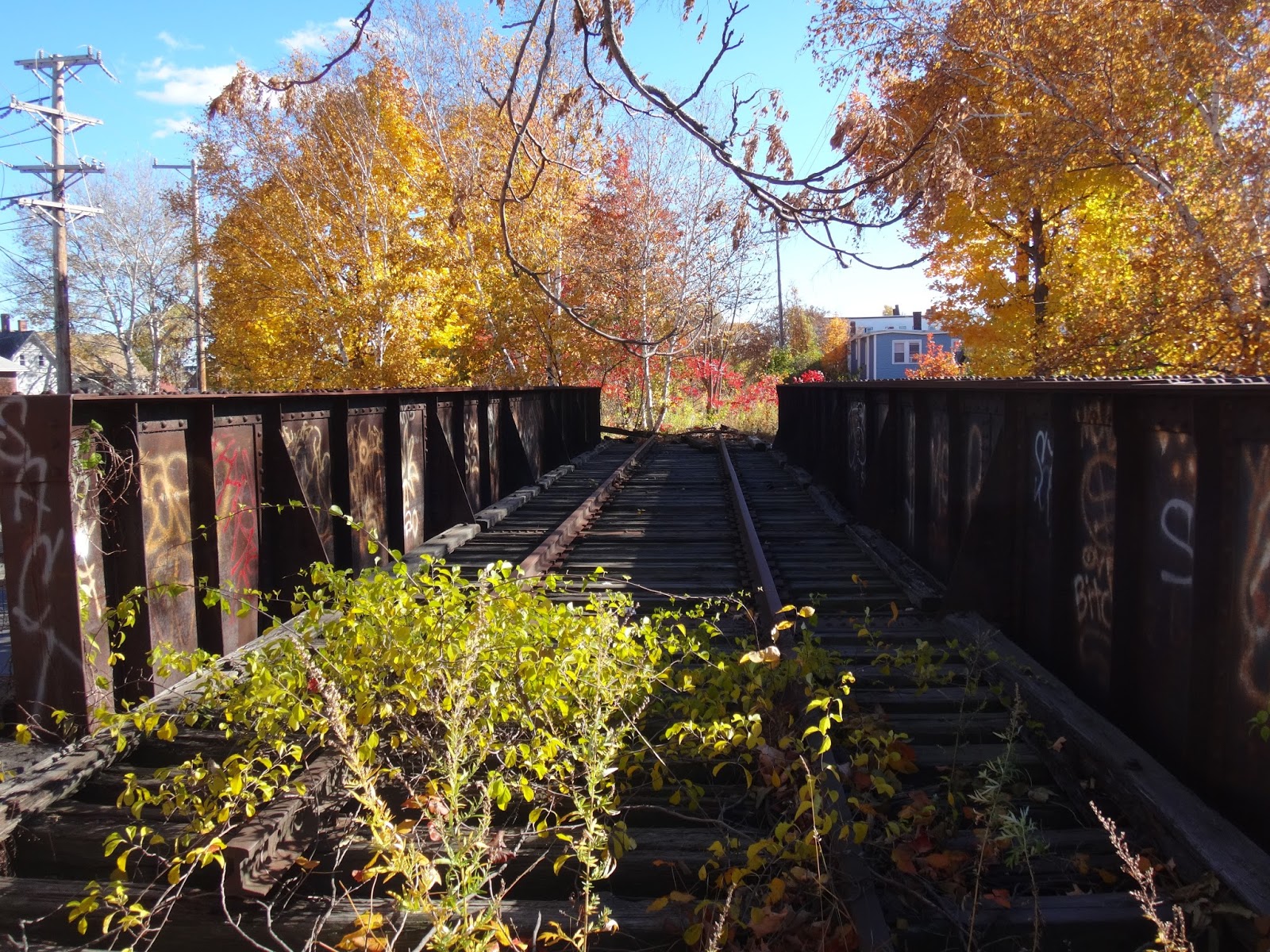 double-d Mountain Runner: Methuen rail trail and Nevins bird sanctuary