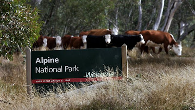 Traveler Guide: Know National Park in Victoria, Australia