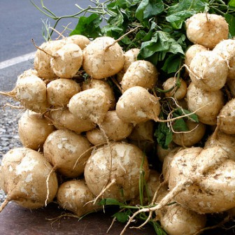 Buah Bengkuang - Pengertian Buah & Manfaatnya