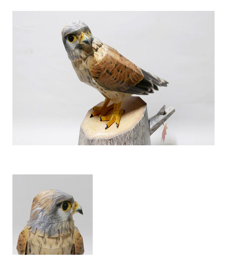 Paper craft: Kestrel - Paper crafted origami