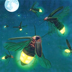 7 Unique Facts: 7 Unique Fact About Firefly