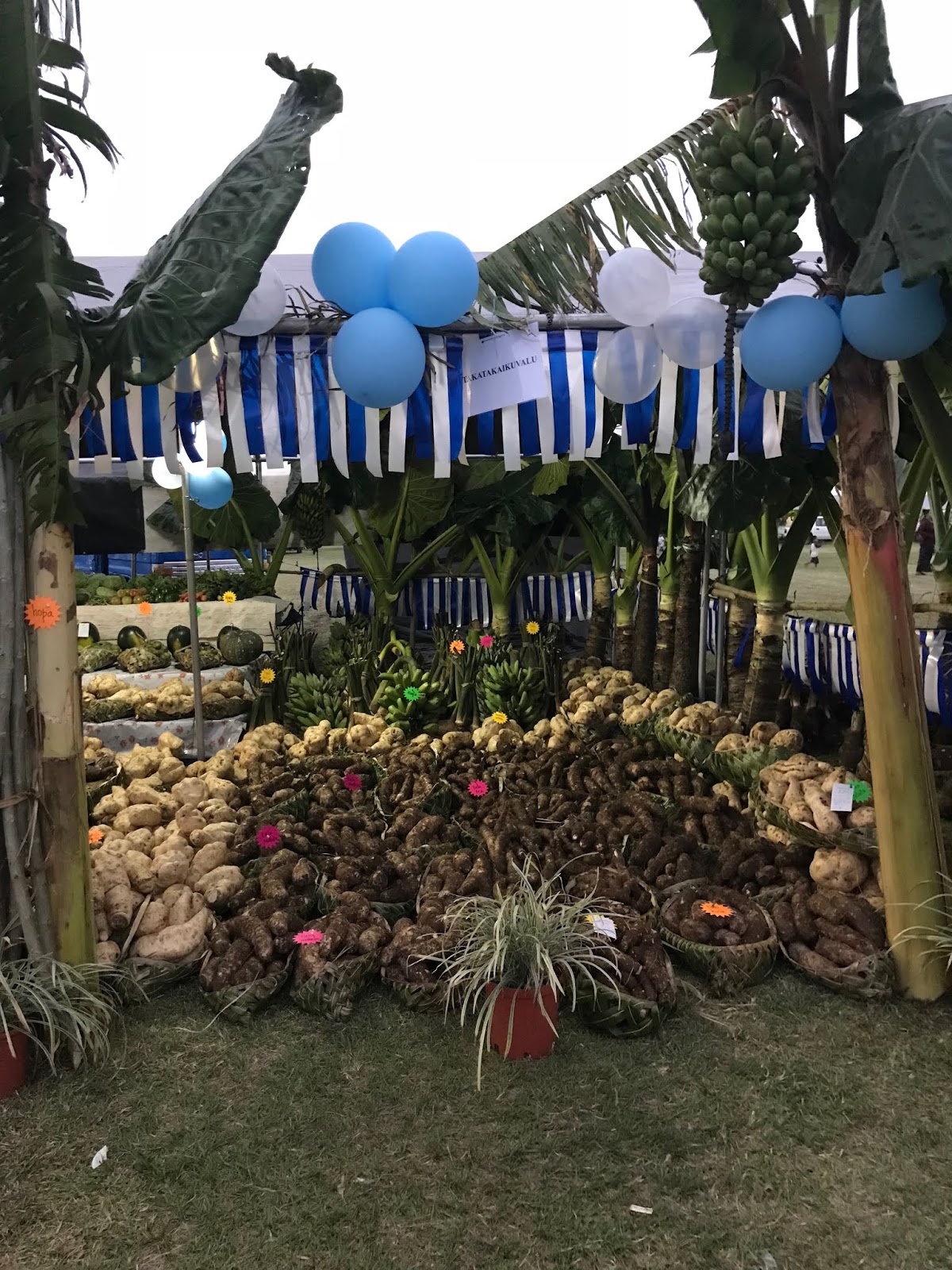 Palmers in Tonga: Agricultural Fair - Crops, Arts, Crafts