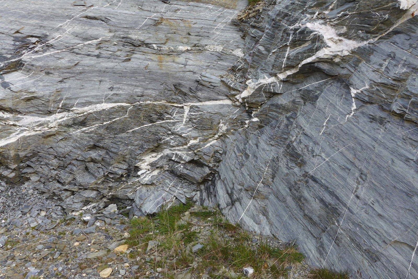 Jeffrey Bale's World of Gardens: The Braided Rivers Project; the beauty ...