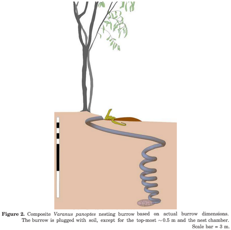 Species New to Science: [Herpetology / Paleontology • 2015] Deep ...