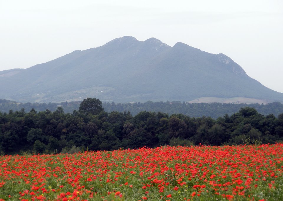 Sabina : My Secret Italy: THE MANY FACES OF MONS SORACTE - MOUNTAIN OF ...