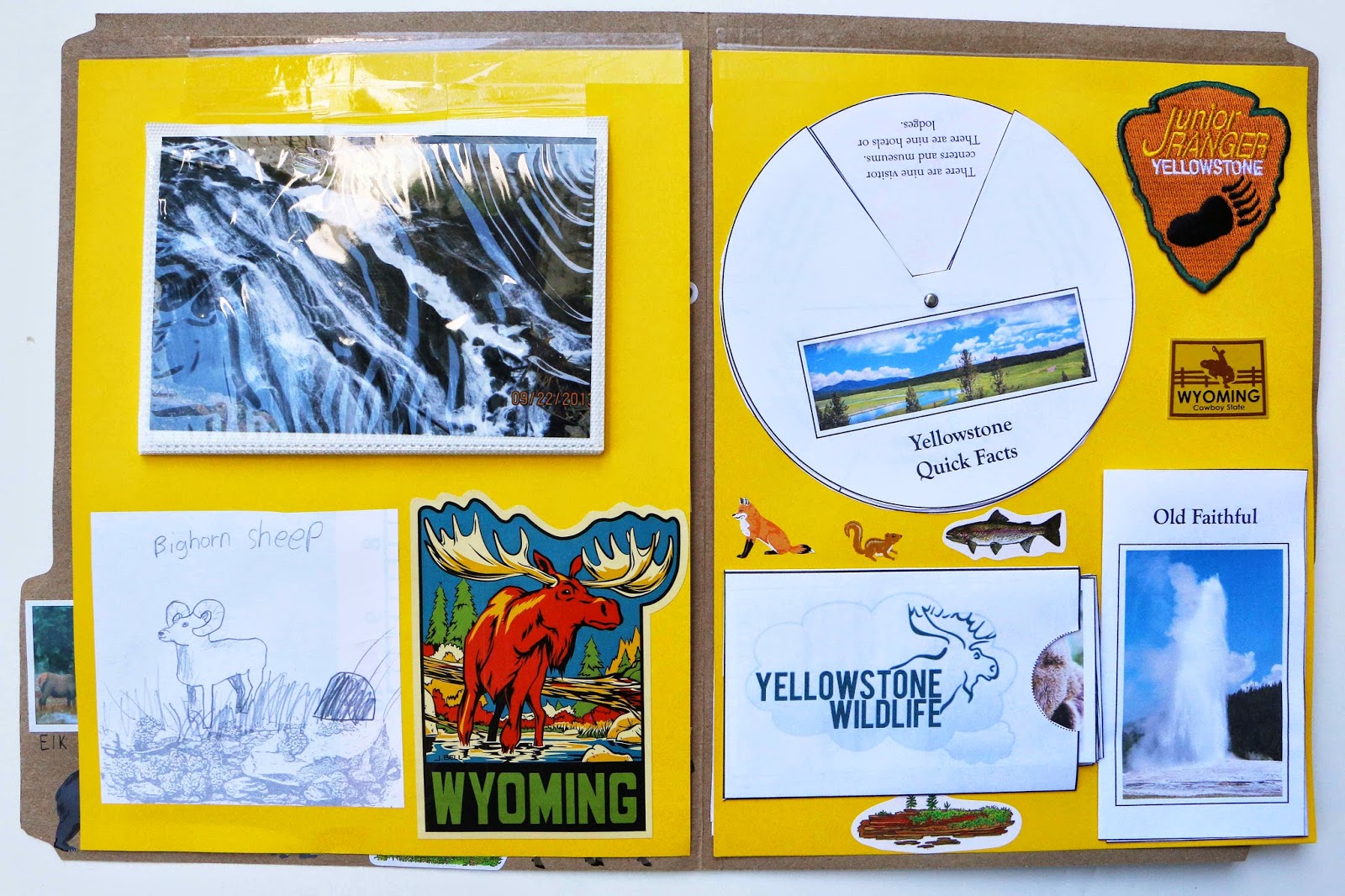 carrot top x 3: Yellowstone National Park Lapbook--FREE!