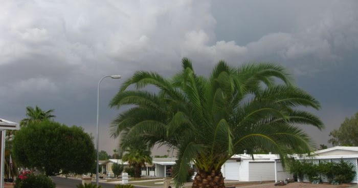 Durango Texas: Stuck In My First Arizona Haboob Dust Storm With Miss ...