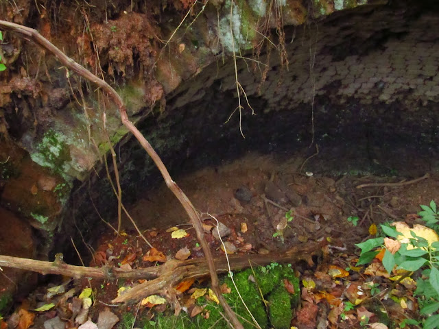 Old Industry of Southwestern Pennsylvania : Southwest No. 3/Tarrs, PA