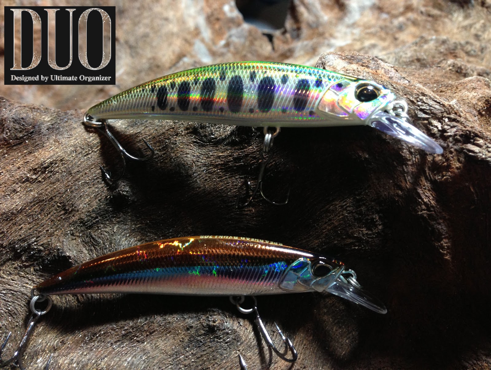 The Fish Cure: A Taste Of DUO Realis