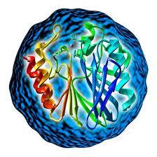 6 Classification of Enzyme - New Science Biology