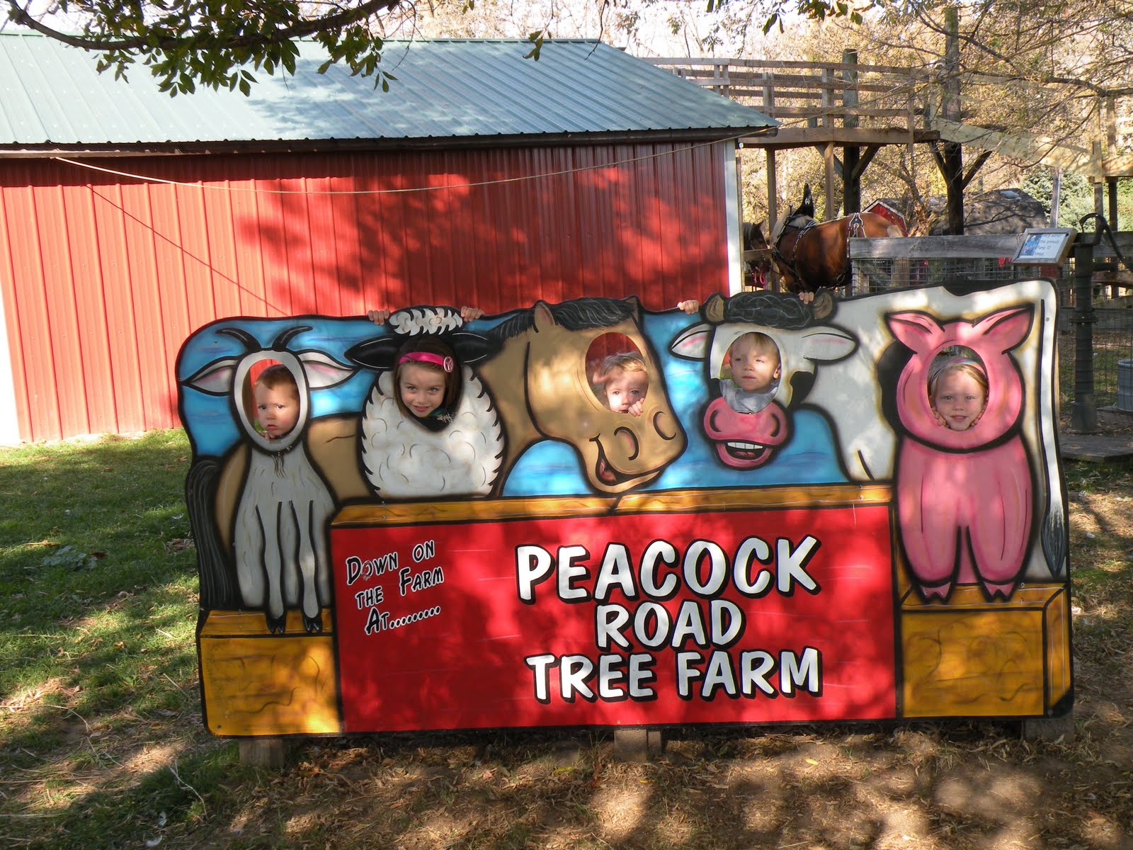 The Hensley's est. 2006: Peacock Tree Farm