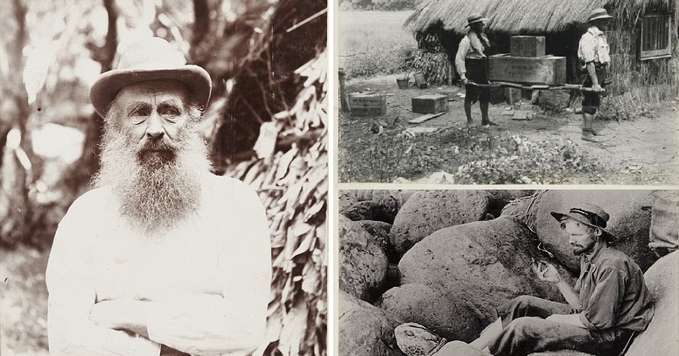 Thomas Bell người đàn ông được mệnh danh là Robinson ở New Zealand, ông ...