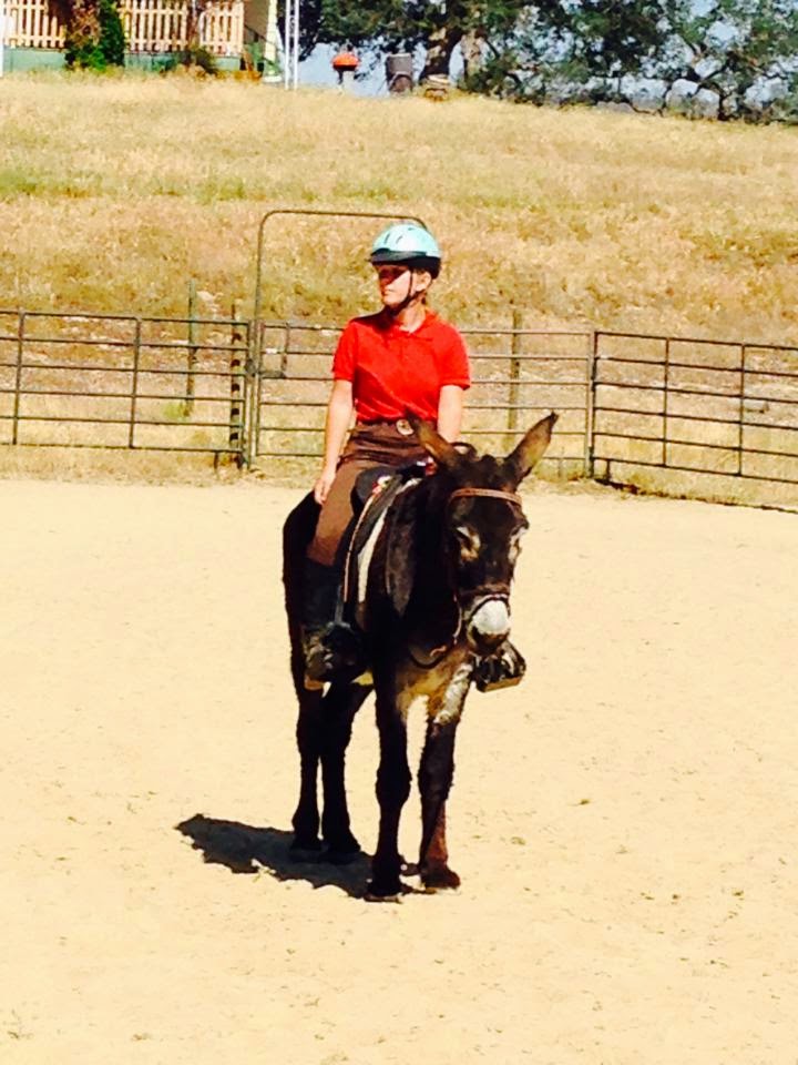 The Aspiring Equestrian: I Rode a Donkey!