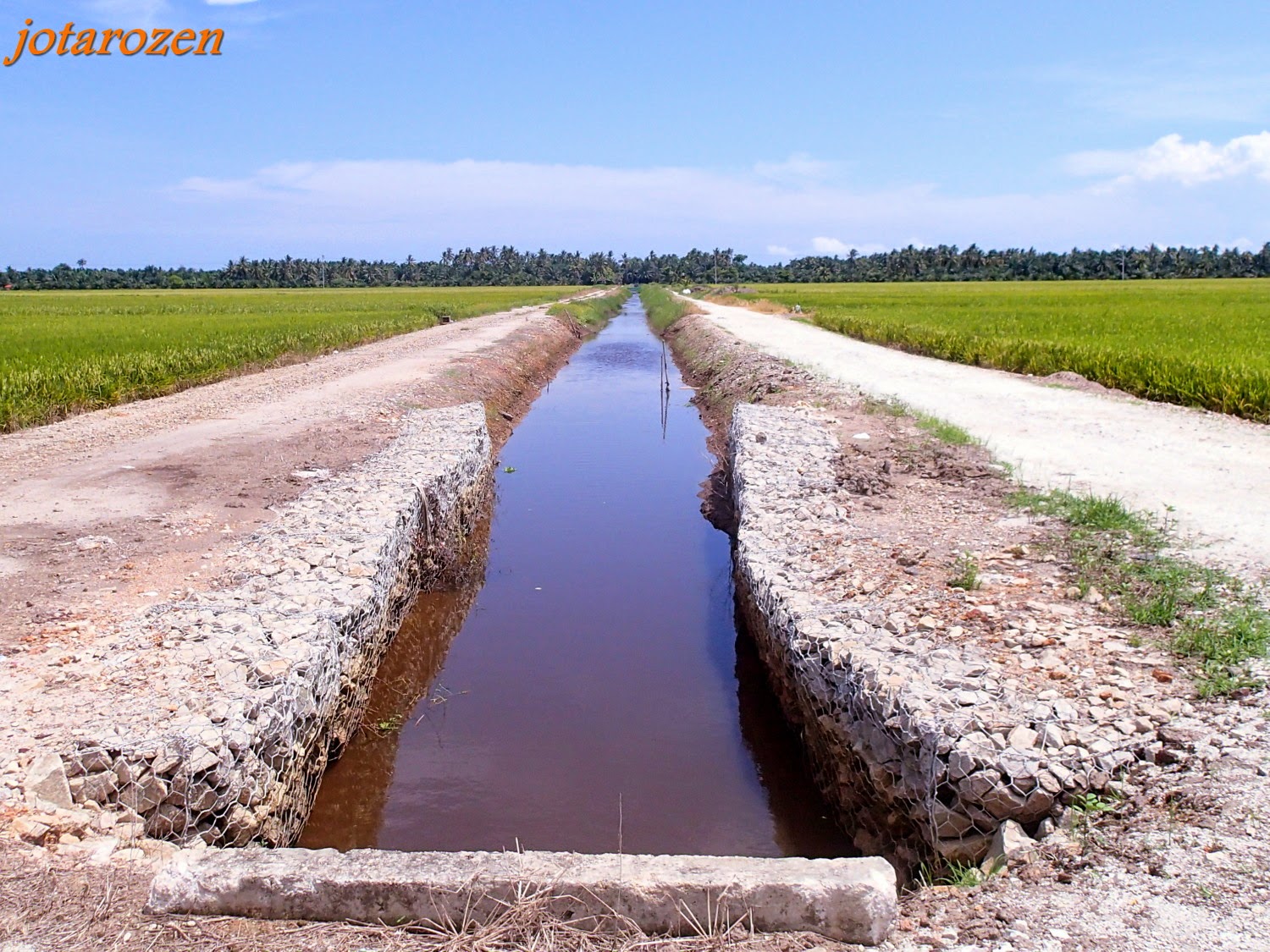 Footsteps - Jotaro's Travels: Gallery : Scenic Sekinchan Padi Fields