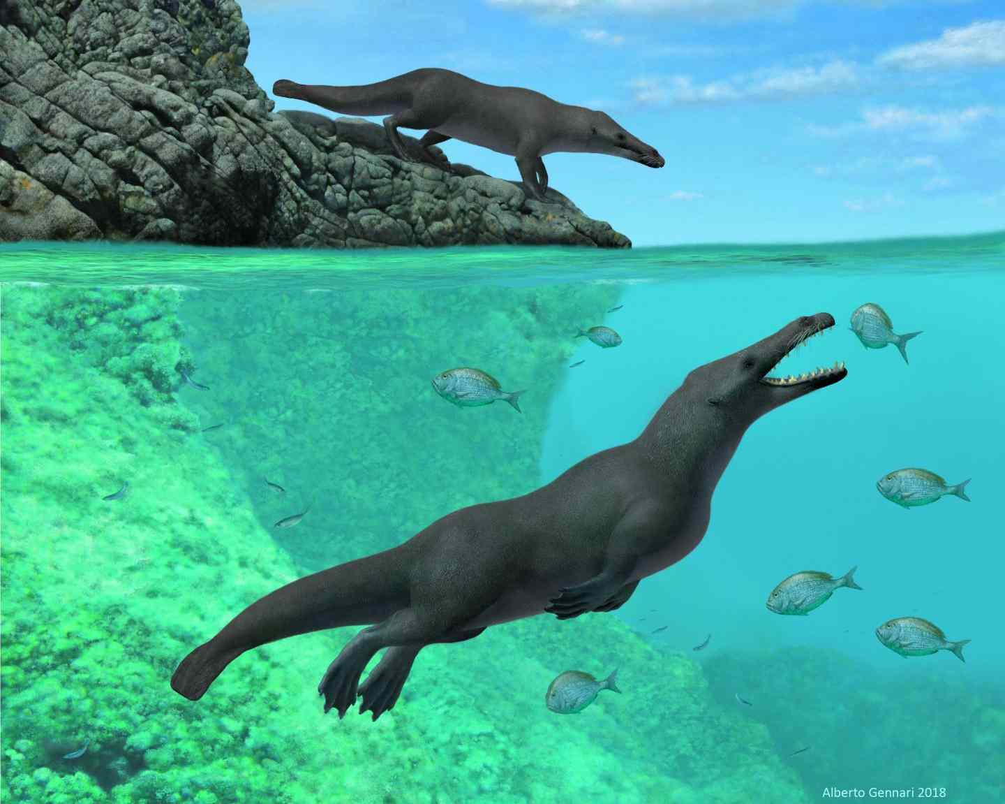 Four-legged Whale With Hooves Fossil Discovered | Geology In