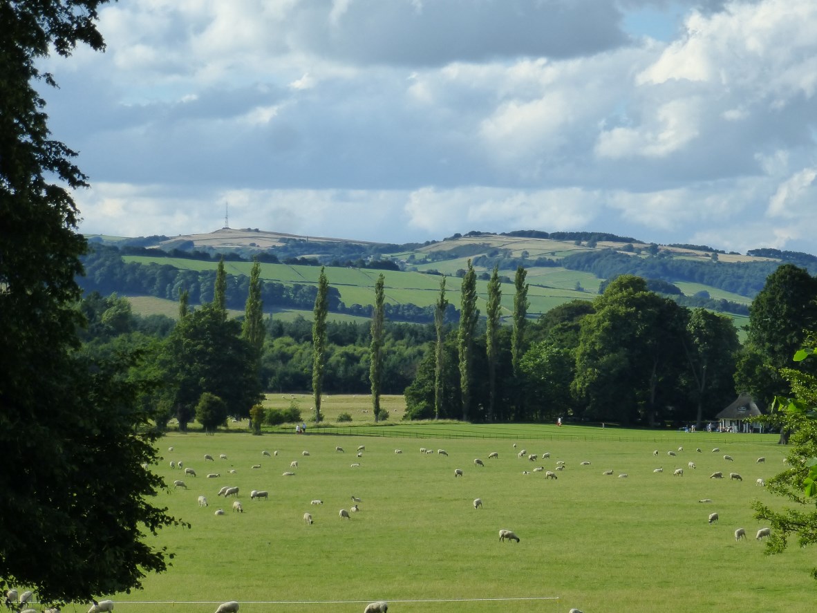 The Road Goes Ever On: Chatsworth Gardens, 2013