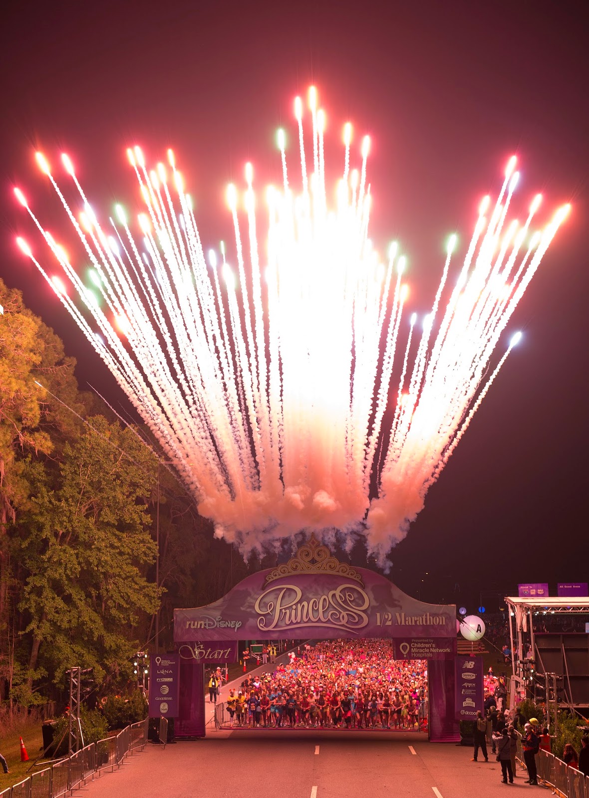 Adventures of a Middle-Aged Drama Queen: runDisney's Princess Half ...