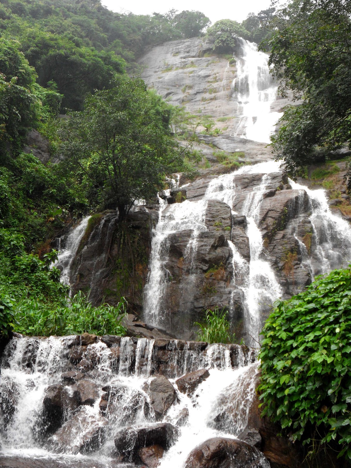 VAGAMON wagamon photos images: November 2011