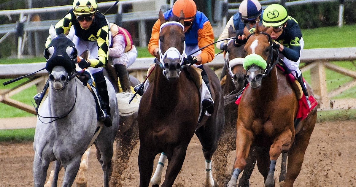 Cheltenham Races: Right On Track: The Limitless Advantages of Betting A ...