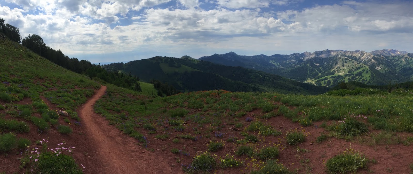 wasatch and beyond: Pipeline, Mid-Mountain, and Wasatch Crest Trail Runs