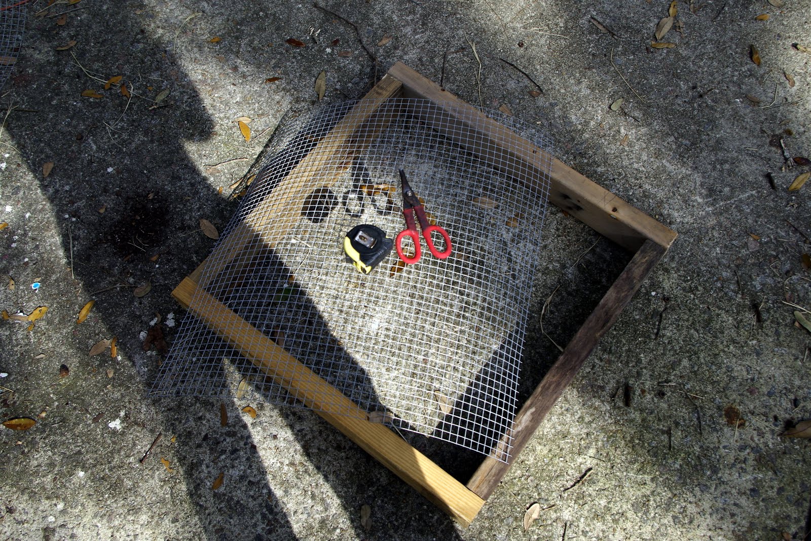 The Foxy Chicken: Chicken Run Grazing boxes