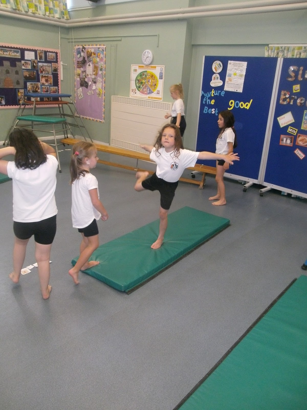 The Beetle Class Blog: PE Gymnastics
