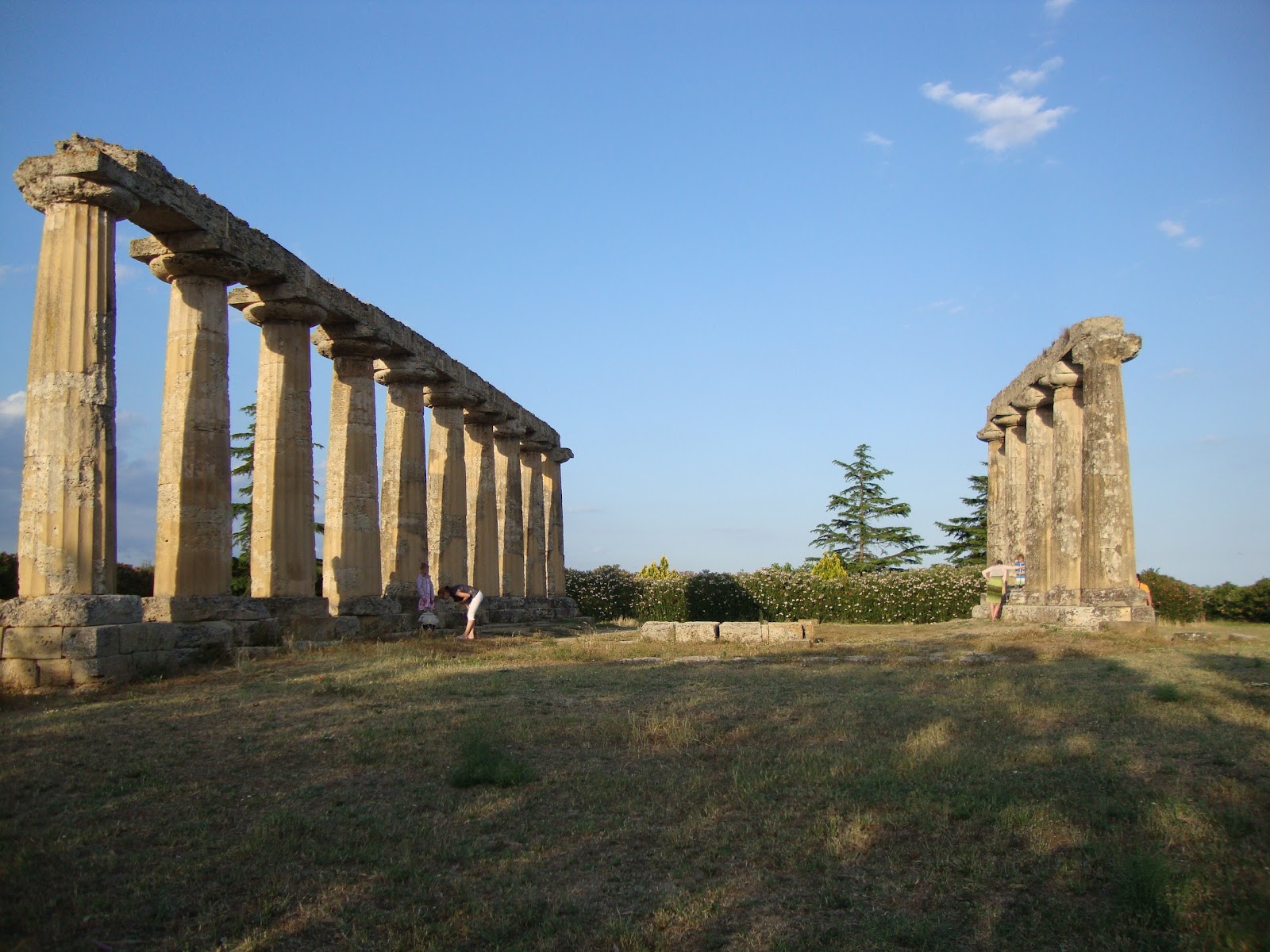 Pitagora e dintorni: Viaggio pitagorico: Metaponto