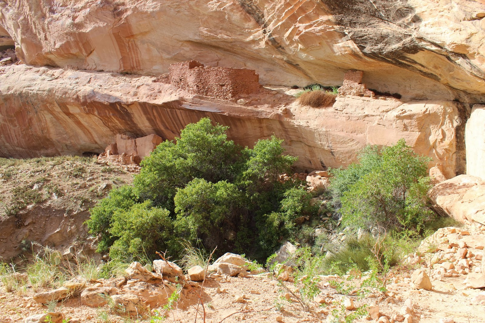 gjhikes.com: Split Level Ruin