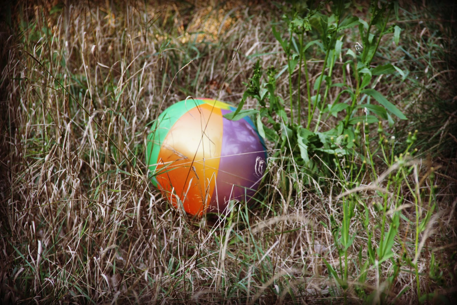 Nobody puts baby in the corner – This Old House 2