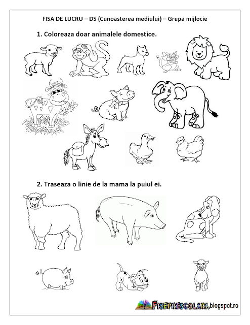 Planse de colorat si fise pentru copii: DS - FISE de lucru cu Animale ...