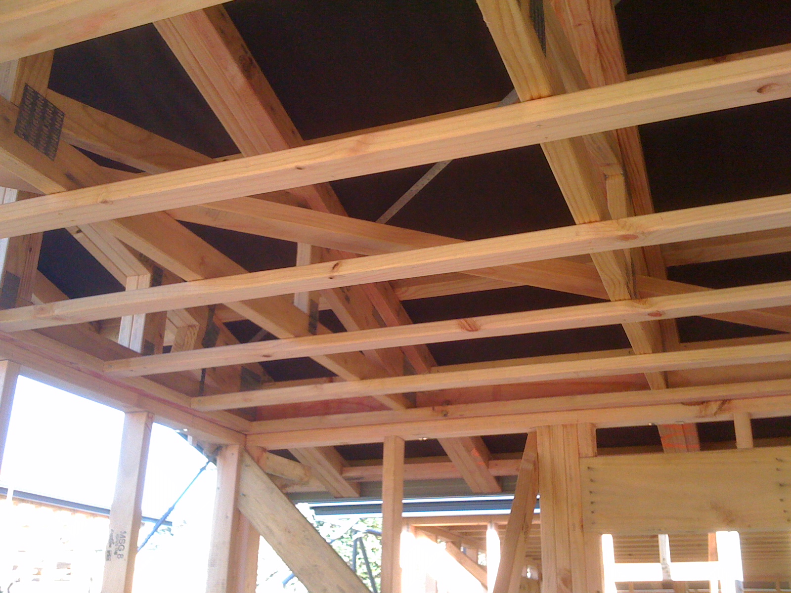 Robert Teh: week 15 unitec carpentry 29 june - 1 july 2011