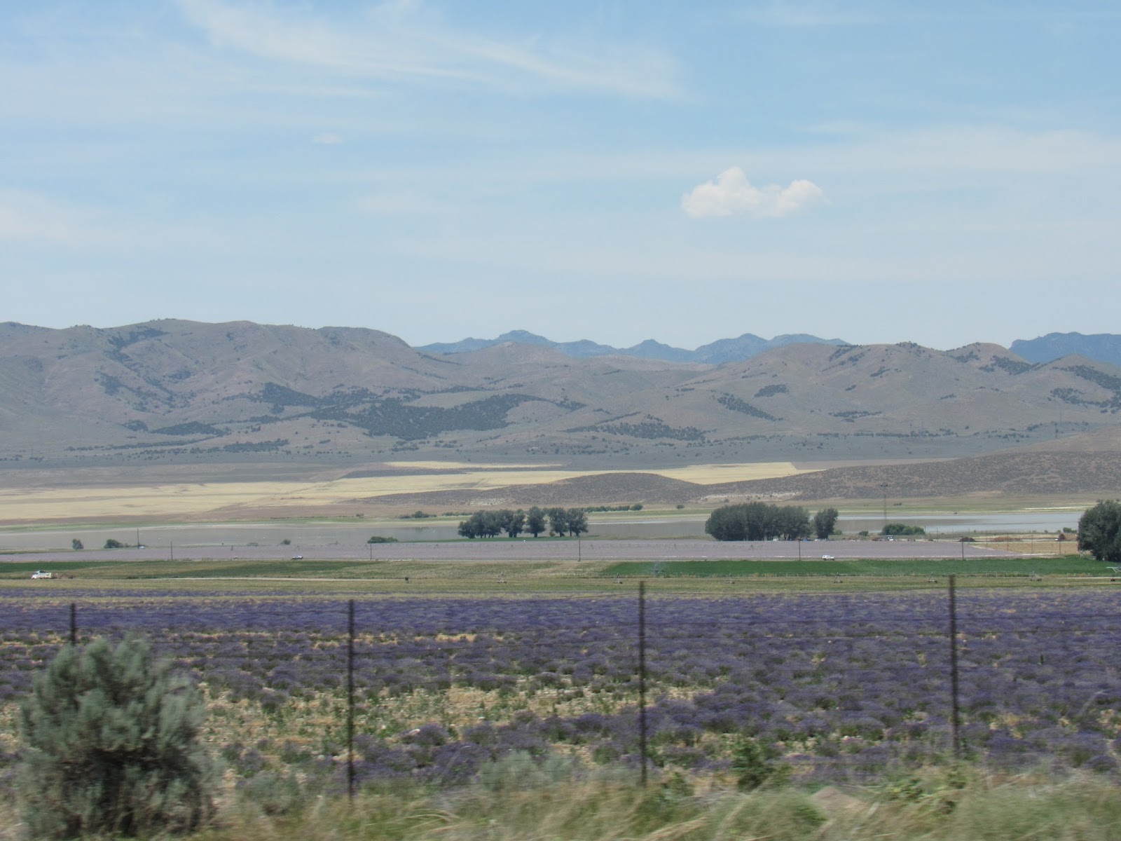 xavvy-licious: Park City & Mona Farm, Utah