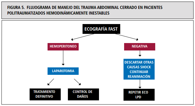 Urgencias y emergencias: Exploración ecográfica siguiendo protocolo FAST