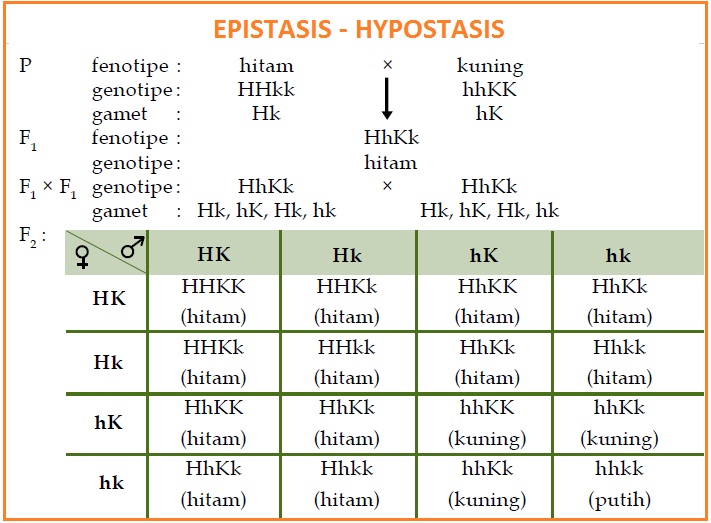 CATATAN SEMU MENDEL - Biology Page
