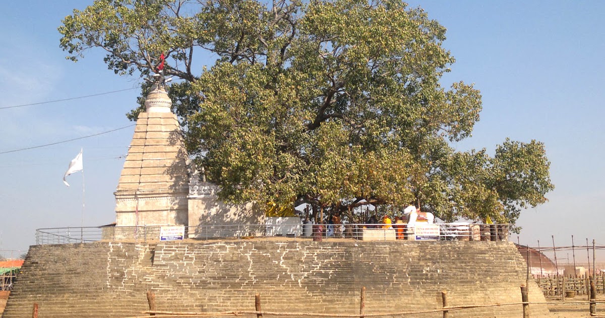 Kuleshwar Mahadev Temple Rajim ( कुलेश्वर महादेव मंदिर राजिम) | Tourist ...