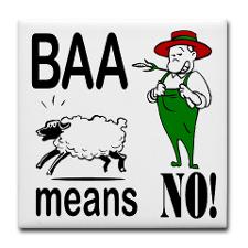 Ramblings of an Undiagnosed Mad Woman: The Angry Bird They Never Talk About