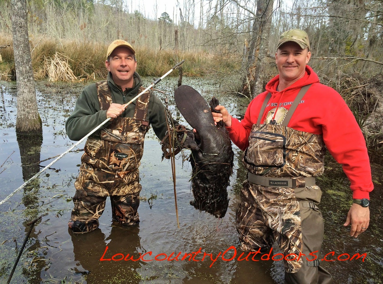 Lowcountry outdoors: ACE Basin - Trapping Takes Hold Over Time