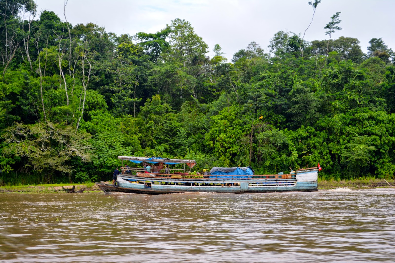 The Thrill on Berryhill ..........................: Amazon