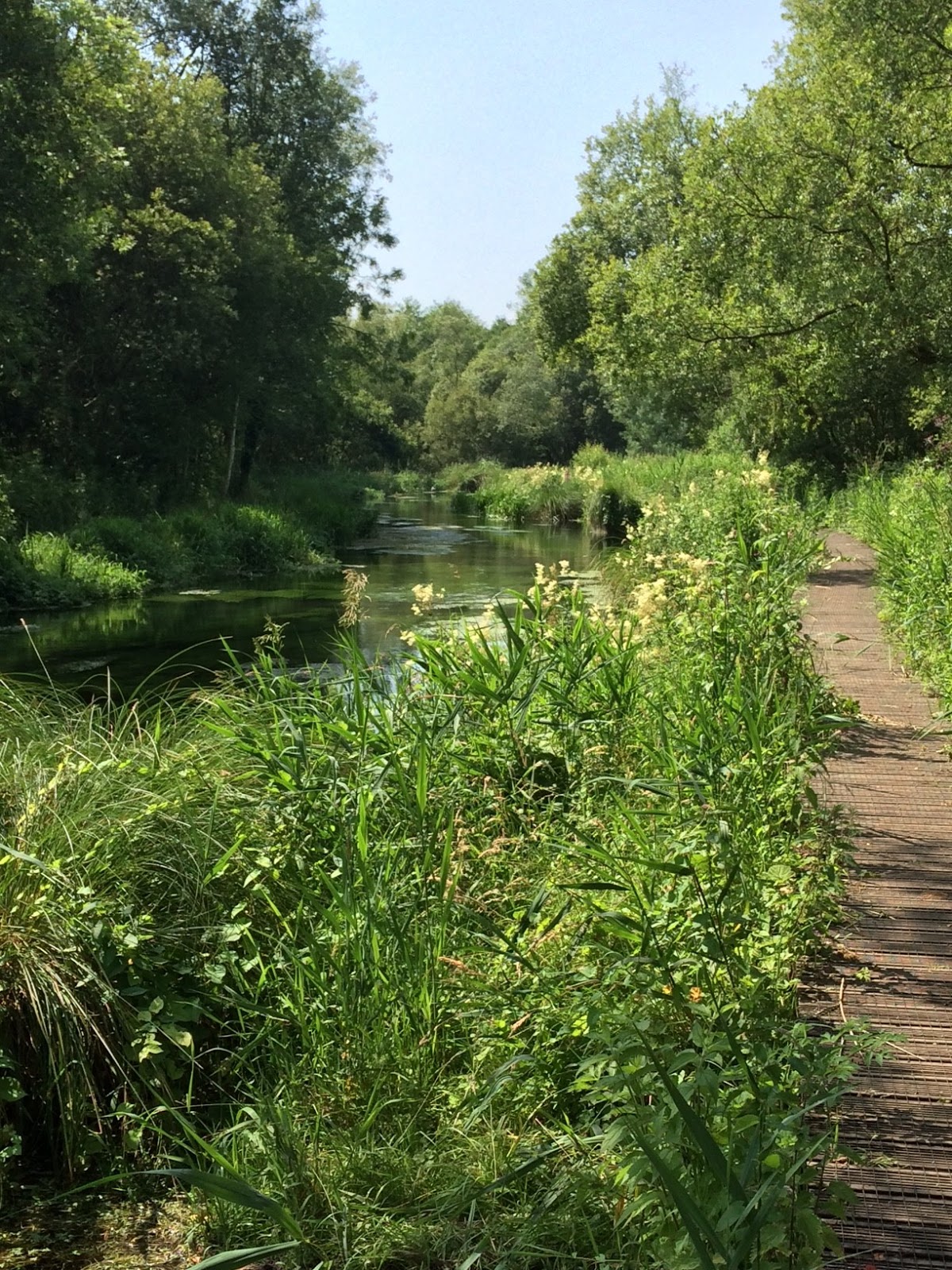 3 Castles Path Ramblings: Greywell to Ellisfield