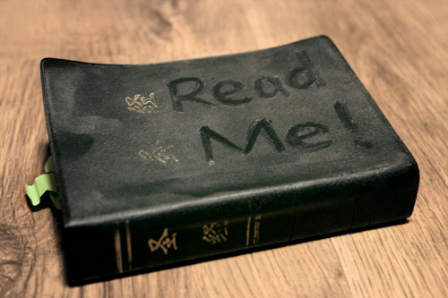 Something Surprising Bible Reading Notes The Key Is To Read The Odd Pages Something Surprising Bible Reading Notes The Key Is To Read The Odd Pages