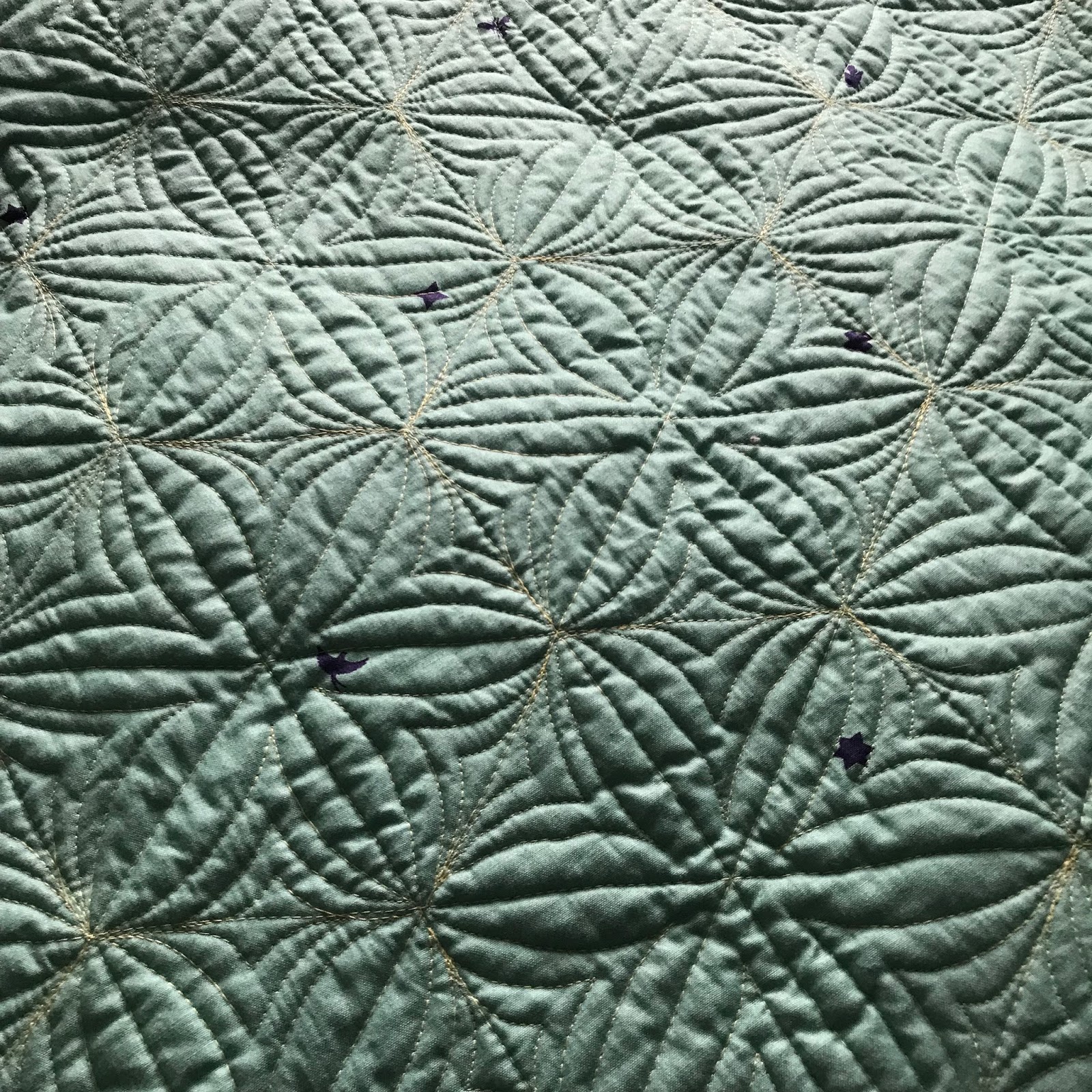 A Few Scraps: Star Lattice