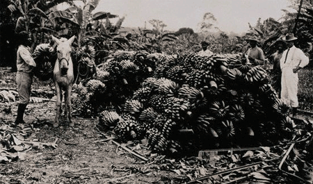 Costa Rica Insights: Quepos, Costa Rica....once home to the fierce ...