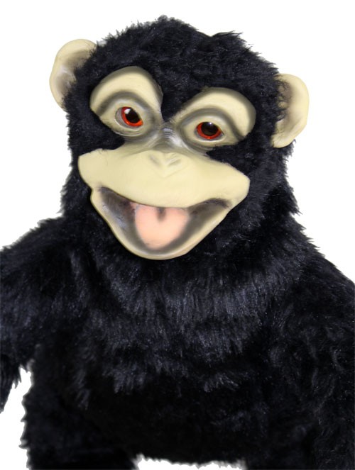 Professional Puppets, Ventriloquism tips, Kids entertainment tips: Baby ...